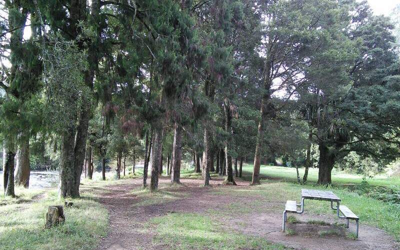 Dickey Flat Campsite | Freedom/Basic Camp | New Zealand